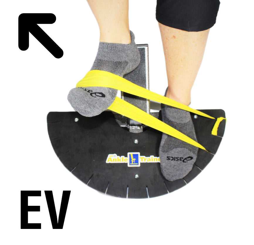 ADL Ankle Trainer – ADL Balance