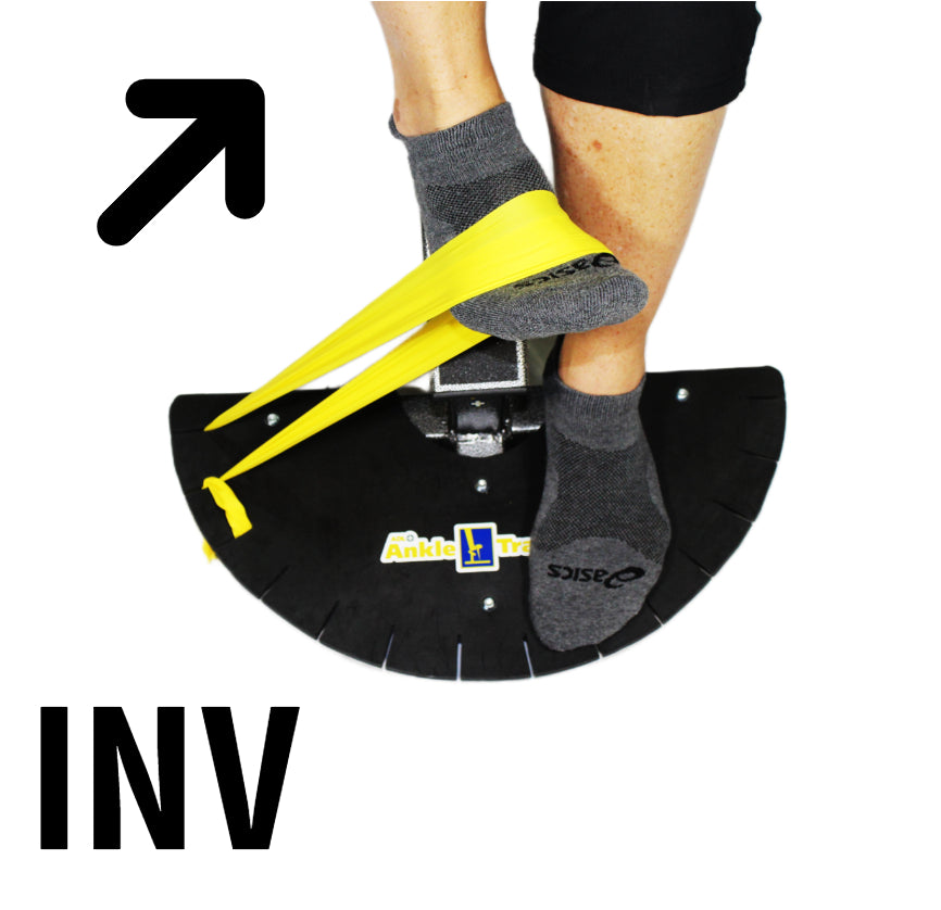 ADL Ankle Trainer – ADL Balance