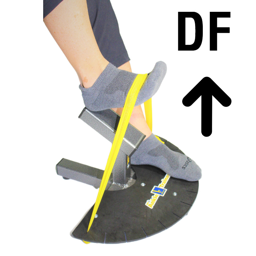 ADL Ankle Trainer – ADL Balance